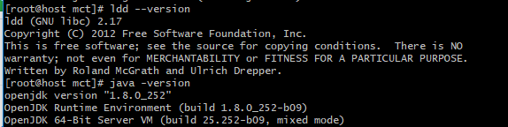 Could not initialize class oshi.jna.platform.linux.Libc$Sysinfo · Issue #1210 · oshi/oshi · GitHub