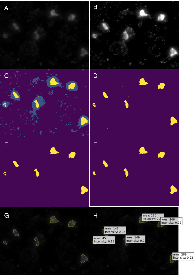 GitHub - MohReza86/K-Means-Clustering: An unsupervised machine learning ...