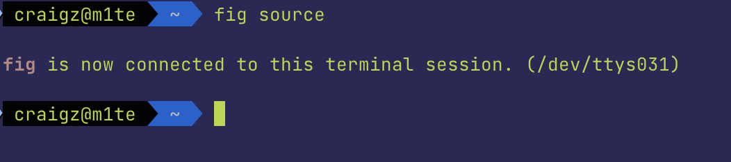 Fig "not linked to terminal session" · Issue #876 · withfig/fig · GitHub