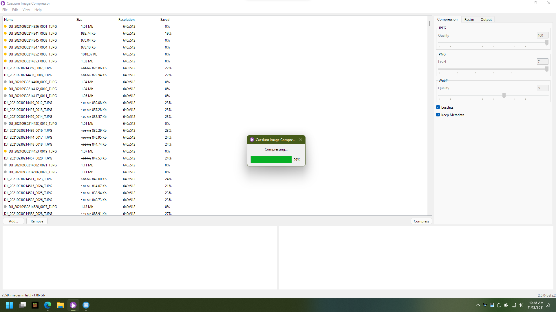 Possible Bug: Failure to complete on long process · Issue #83 · Lymphatus/caesium-image ...