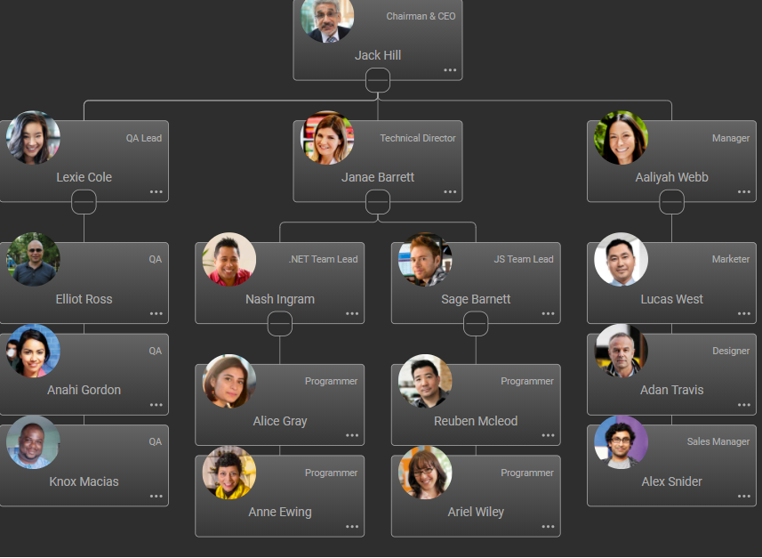 Expand · Issue #476 · BALKANGraph/OrgChartJS · GitHub