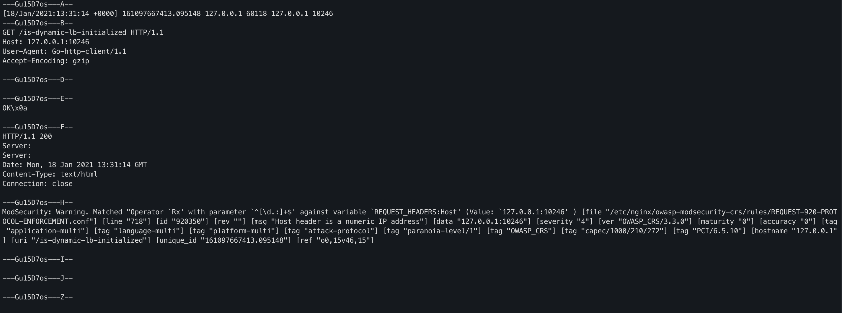 Unable To Send Modsecurity Logs To Stdout Or Different Directory · Issue 6438 · Kubernetes