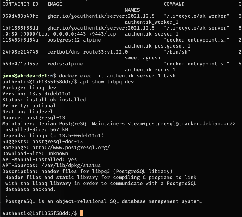 Arm64 docker image gives error from python about how it doesn't have libpq version 10 or above ...