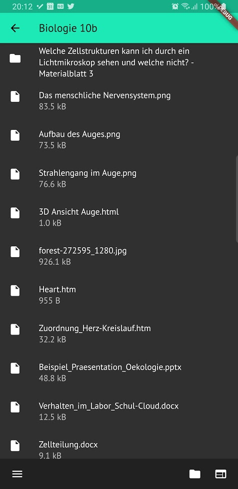 BottomAppBar's icon not properly removed · Issue #96 · hpi-schul-cloud/schulcloud-flutter · GitHub