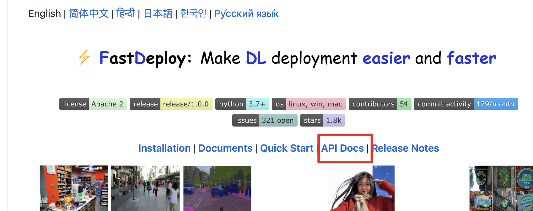 分类模型得出的结果python是什么类型？ · Issue #1715 · PaddlePaddle/FastDeploy · GitHub
