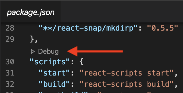 Setting to Disable npm scripts Debug Button in package.json · Issue #101107 · microsoft/vscode ...