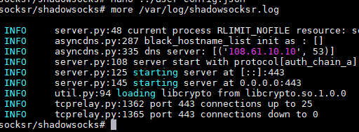 关于查看访问网站ip的问题 · Issue #184 · shadowsocksrr/shadowsocksr-csharp · GitHub