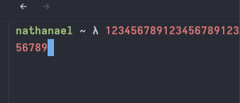 Line wrapping in the Terminal can render up to one char off screen · Issue #5941 · zed ...