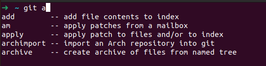 Auto Completion On Gh Commands Cli Cli Discussion 4359 Github