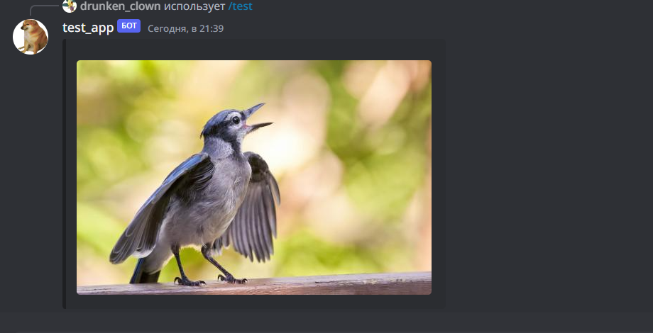 [BUG] Blank Embeds with images · Issue #1428 · interactions-py/interactions.py · GitHub