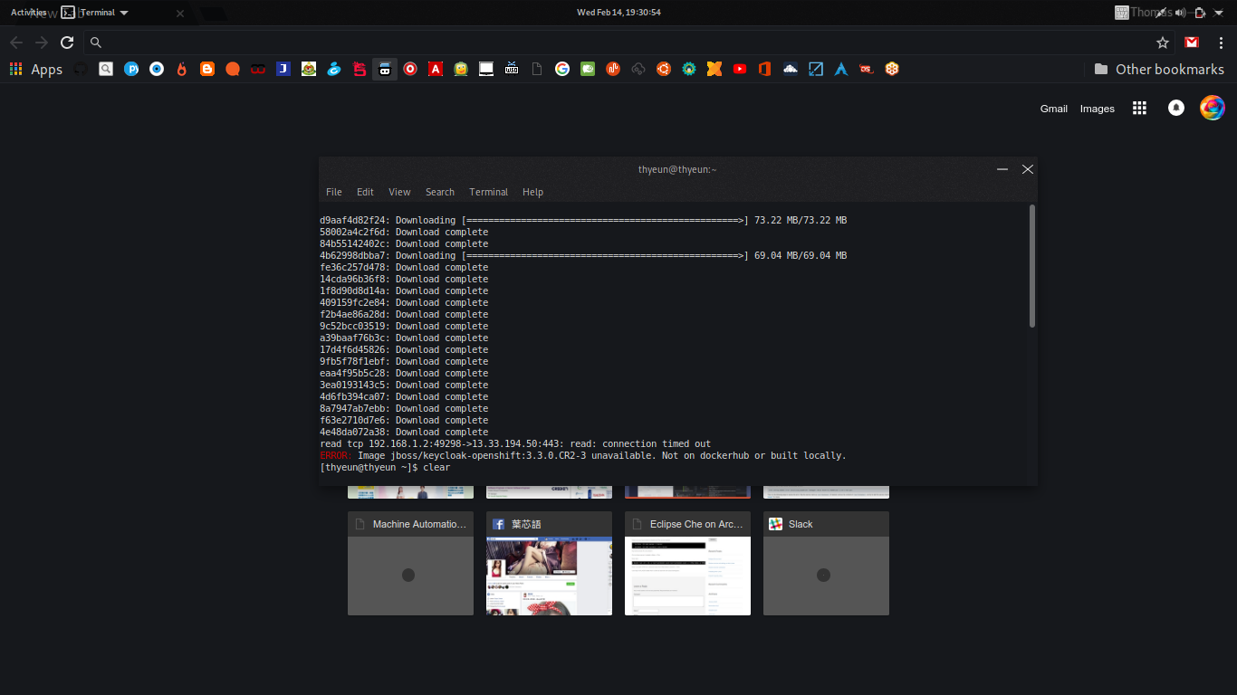 [ERROR] read tcp 192.168.1.2:58748->13.33.194.178:443: read: connection reset by peer · Issue ...