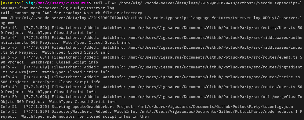 "initializing the JS / TS language resources" stuck · Issue #80183 · microsoft/vscode · GitHub