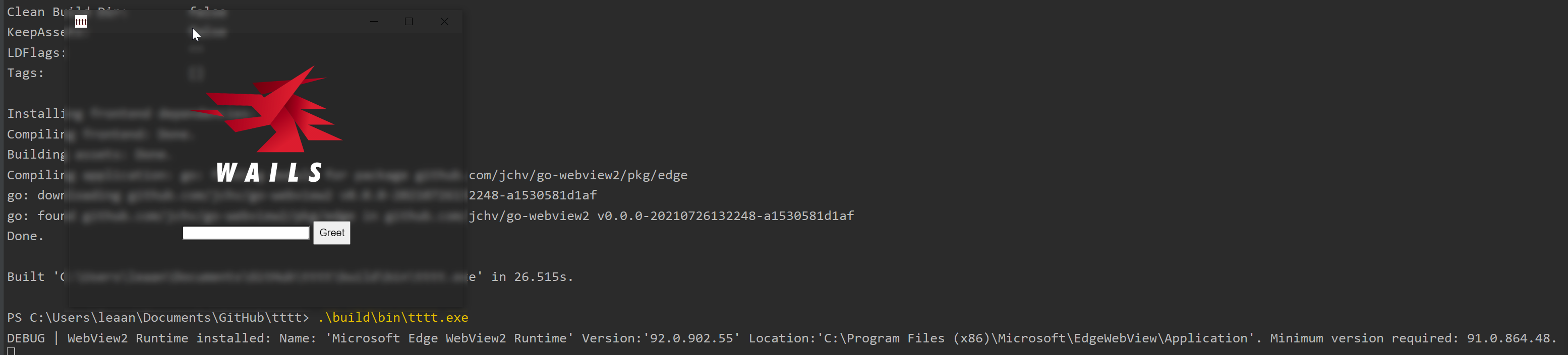 Windows platform prompts an error · Issue #764 · wailsapp/wails · GitHub