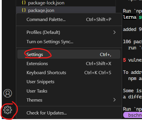 Unable to code · Issue #4717 · microsoft/pylance-release · GitHub