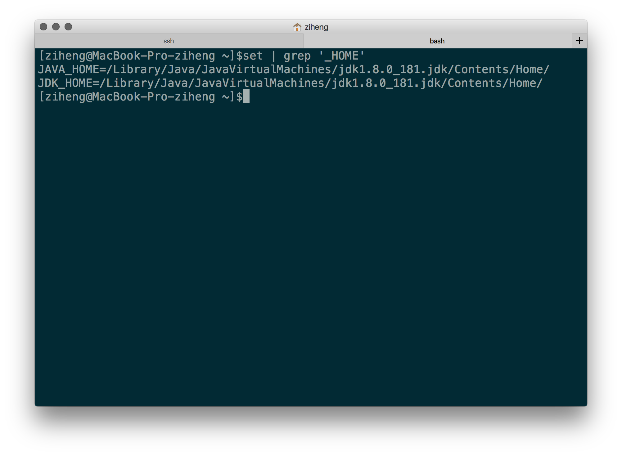 Unable to use the extension without `JavaVM.framework` in macOS · Issue #611 · redhat-developer ...