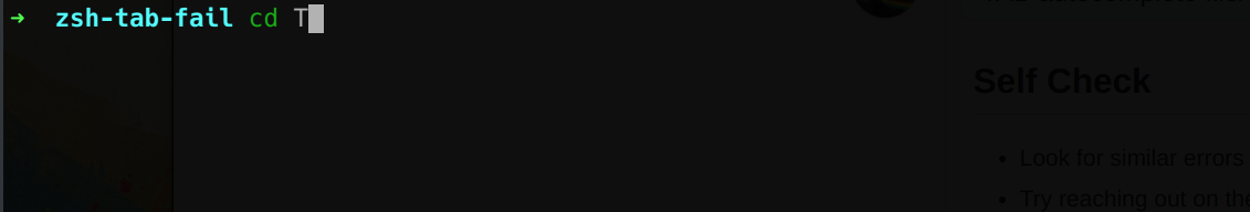 TAB autocomplete file/dir names doesn't suggest all files/dirs · Issue #11175 · ohmyzsh/ohmyzsh ...