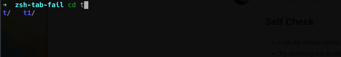 Tab Autocomplete Filedir Names Doesnt Suggest All Filesdirs · Issue 11175 · Ohmyzshohmyzsh