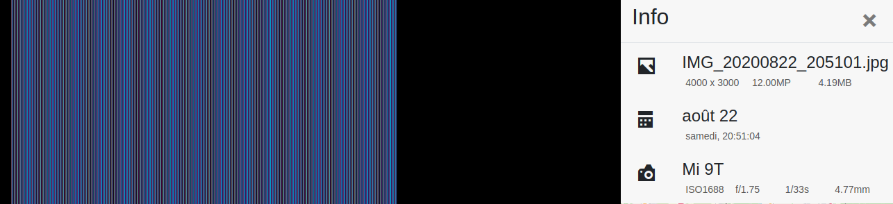 Pictures displayed as colored vertical lines · Issue #185 · bpatrik/pigallery2 · GitHub