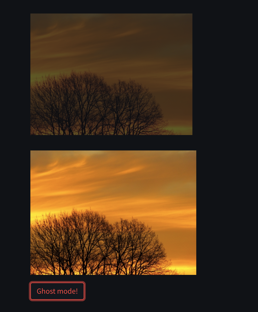 Image ghosted / faded when using image + container + columns · Issue ...