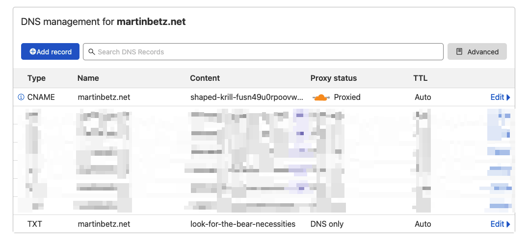 Custom domain not working, maybe due to CNAME · Issue #113 · HermanMartinus/bearblog · GitHub
