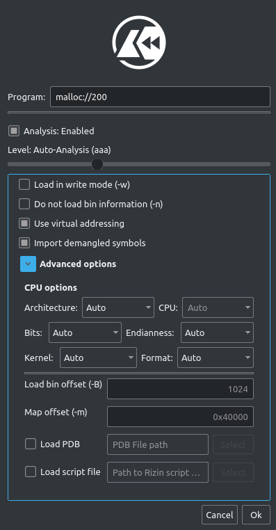 Segfault (data structure + jump + trailing instruction) · Issue #2618 · rizinorg/cutter · GitHub