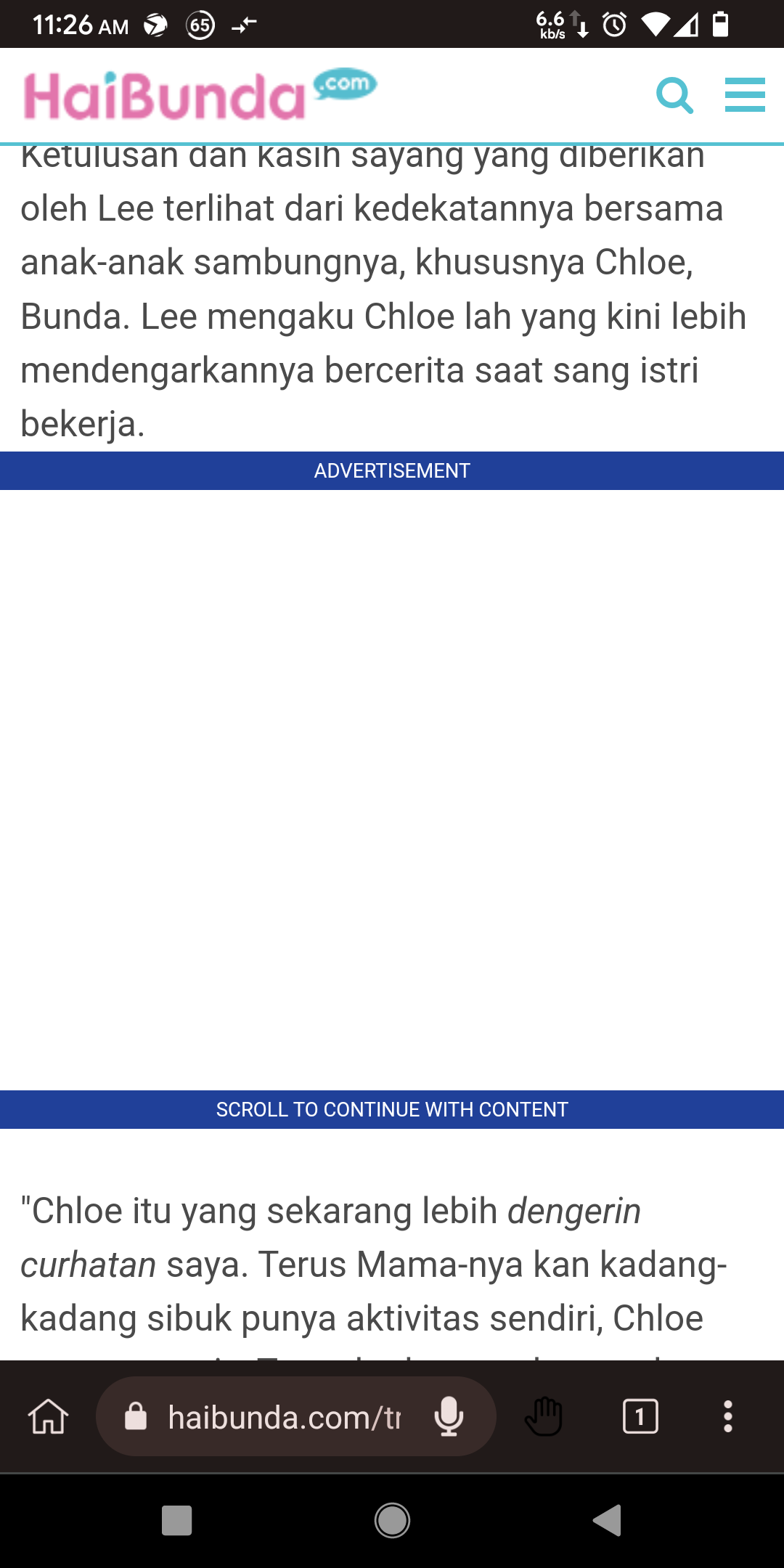 haibunda.com · Issue #1245 · realodix/AdBlockID · GitHub
