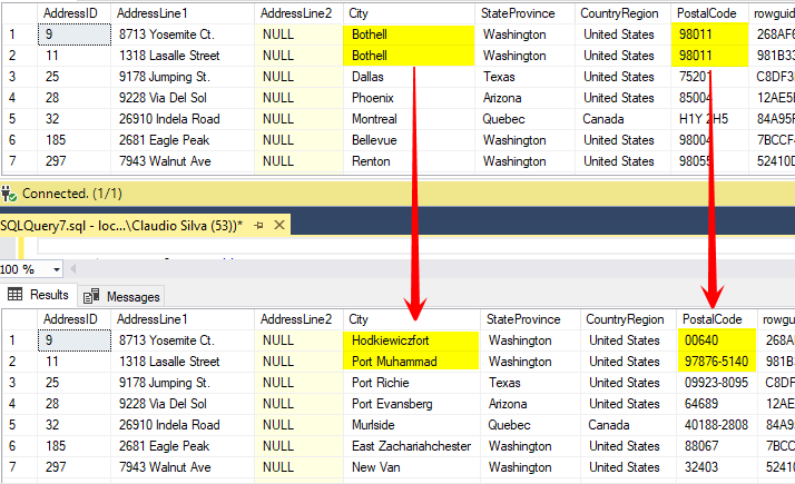 Invoke-DbaDbDataMasking not honoring "Persisted" property value on config file · Issue #7503 ...