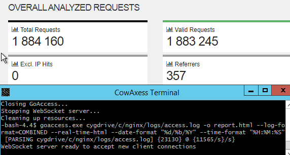 cowaxess on Wndows - real time html adds entire log to stats everytime the log is updated ...