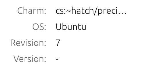Panel content, charm info · Issue #684 · canonical/juju-dashboard · GitHub