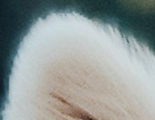 Superpixel changes after update · Issue #95 · ryouchinsa/Rectlabel-support · GitHub