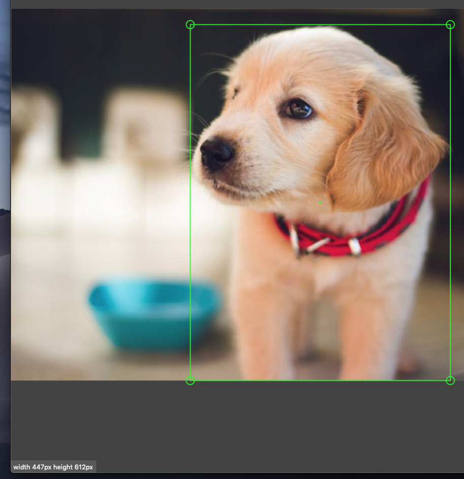Add statusbar · Issue #104 · ryouchinsa/Rectlabel-support · GitHub
