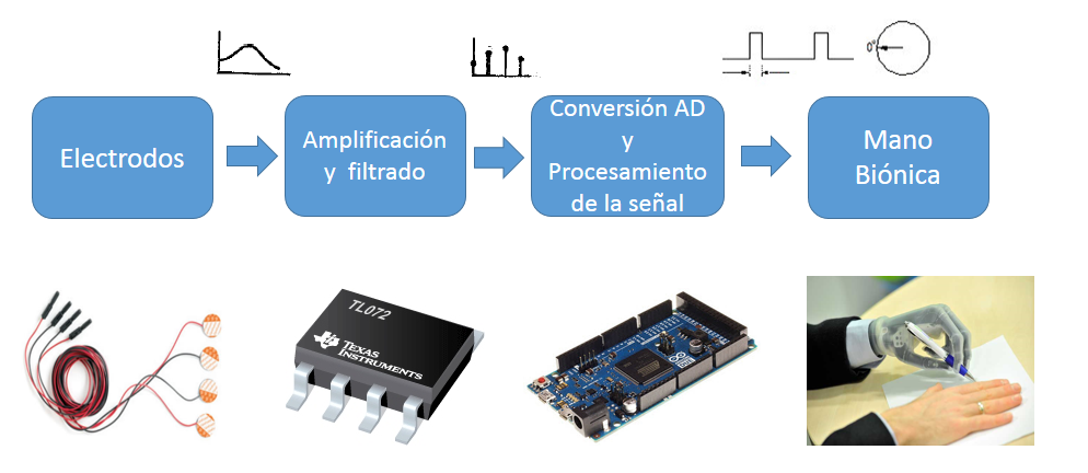 GitHub - dcampanini/Bionic-Arm-with-AI: University project about bionic ...
