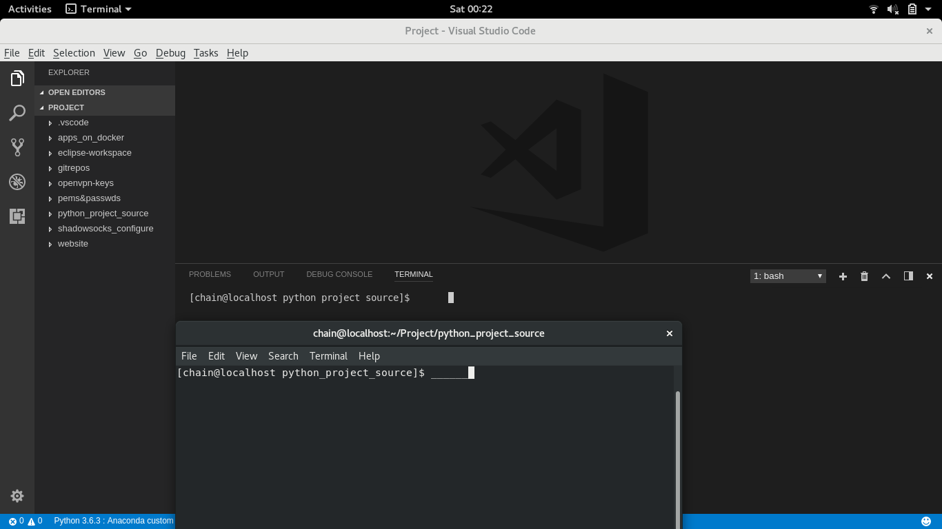 Internal terminal can not show "under-line( _ )" on screen · Issue ...