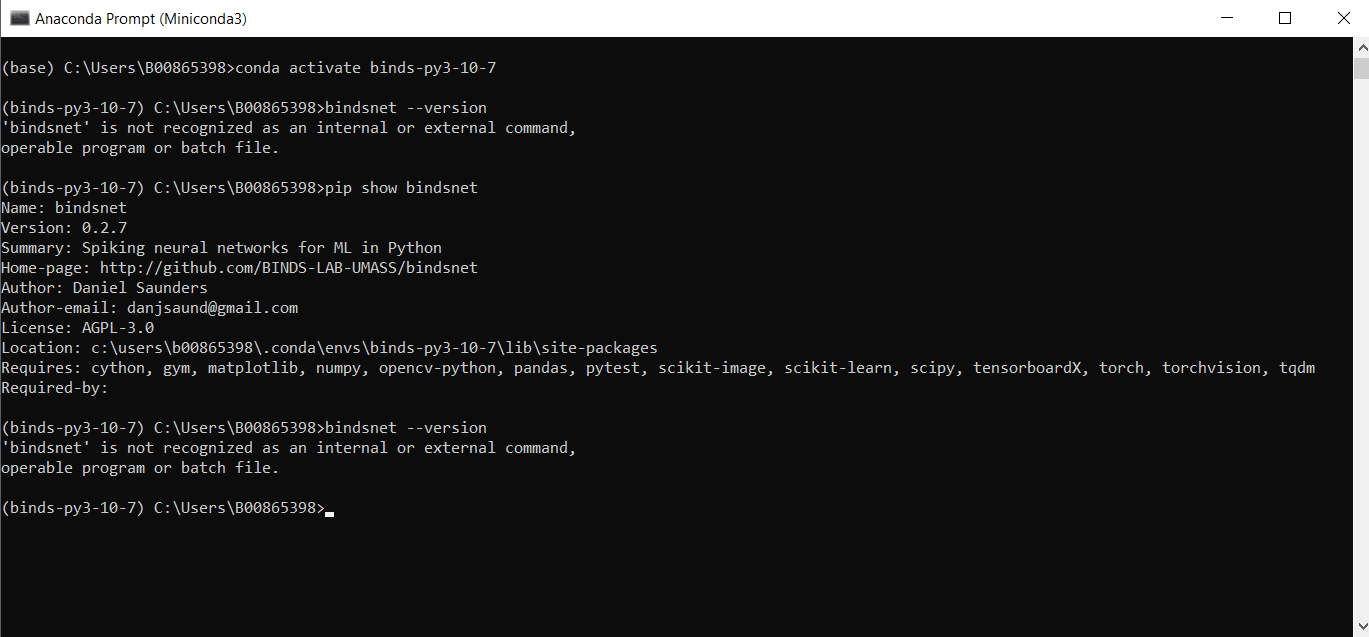 'bindsnet' is not recognized as an internal or external command, operable program or batch file ...