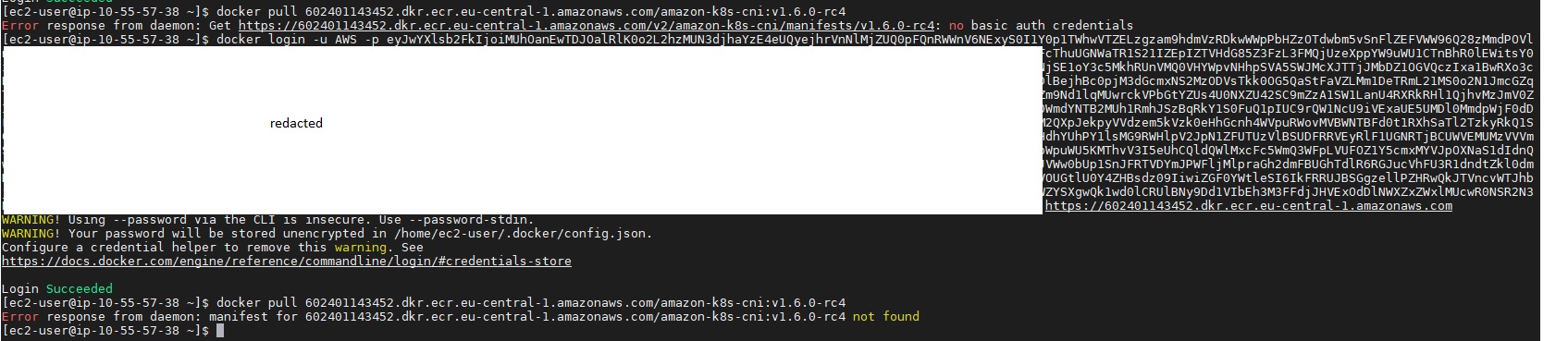 EKS cannot pull image · Issue #613 · aws/amazon-vpc-cni-k8s · GitHub