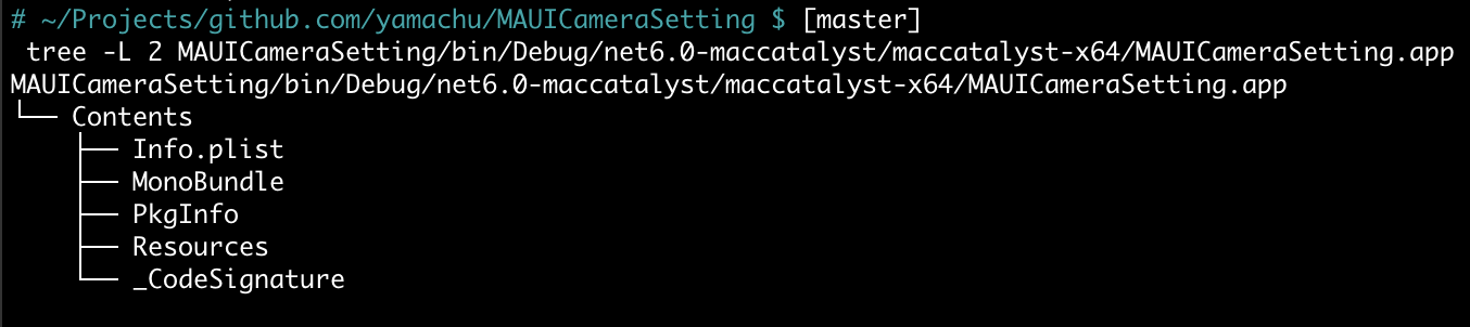 Bug Dotnet Build Sometimes Does Not Emit Executable File To App