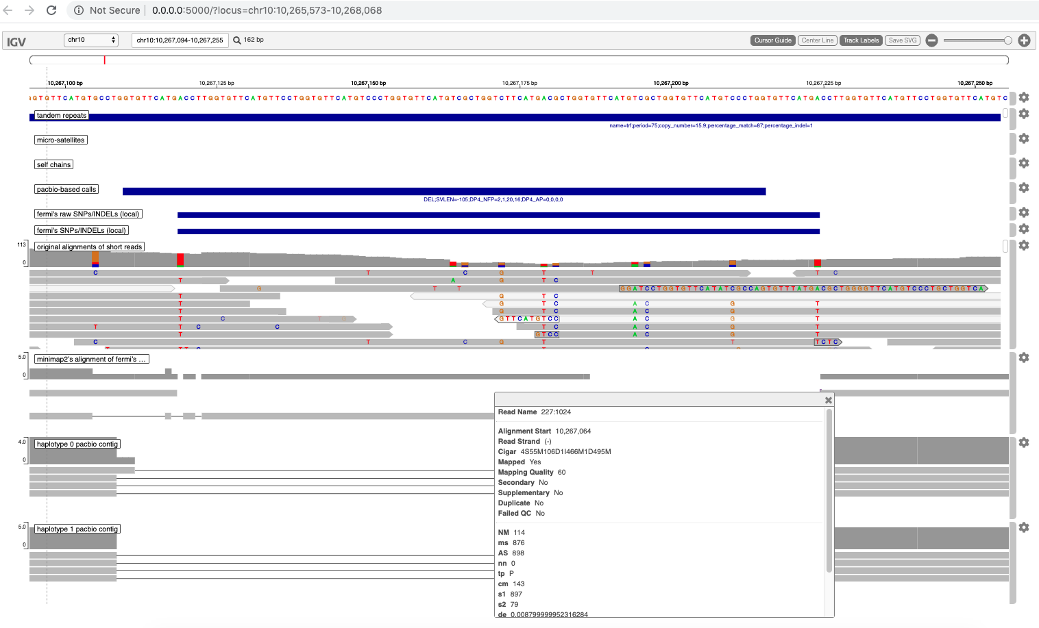 gap in read not displayed as black bar · Issue #1058 · igvteam/igv.js · GitHub