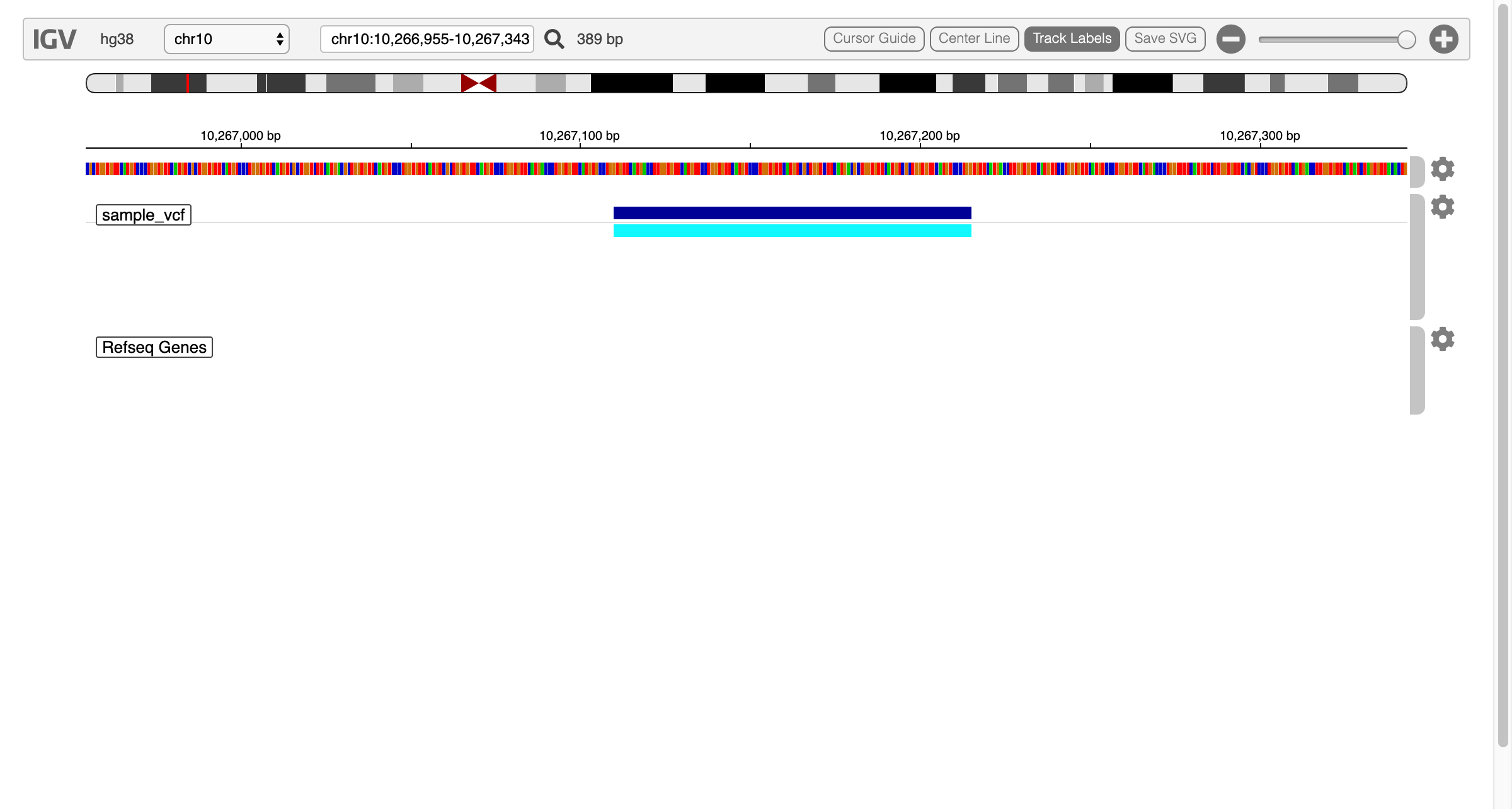 programmatically creating screenshots · Issue #1138 · igvteam/igv.js · GitHub