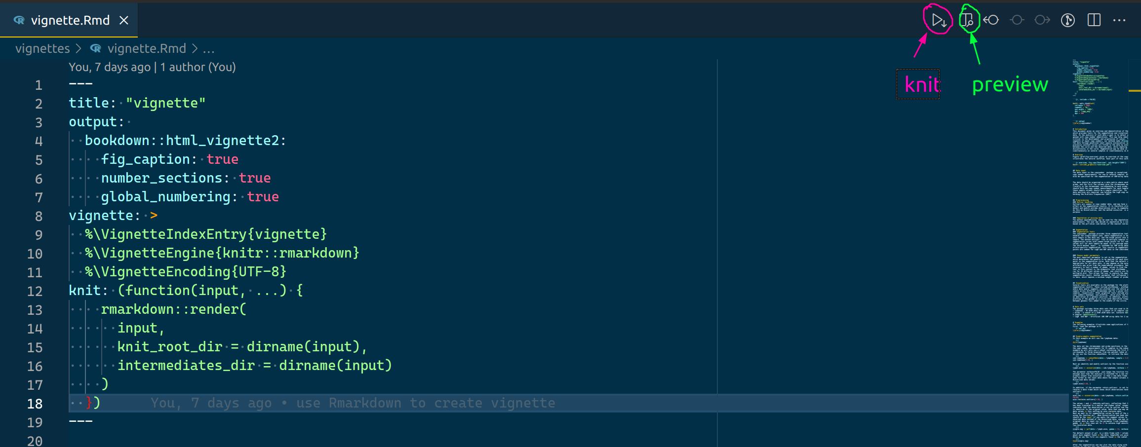 Preivew button use smart knit · Issue #1345 · REditorSupport/vscode-R · GitHub