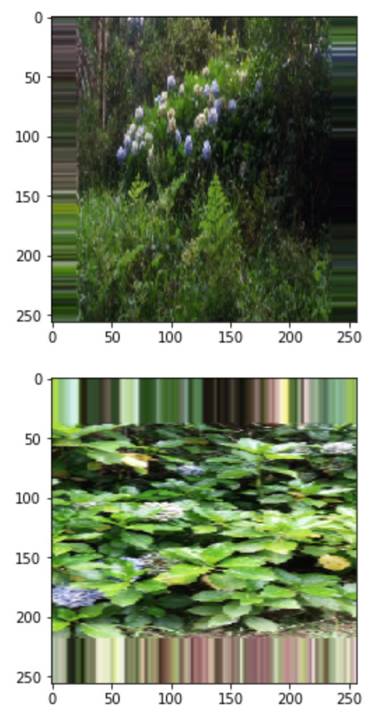 GitHub - billyhansen6/Invasive-Species-Detection-in-Plant-Images---A ...