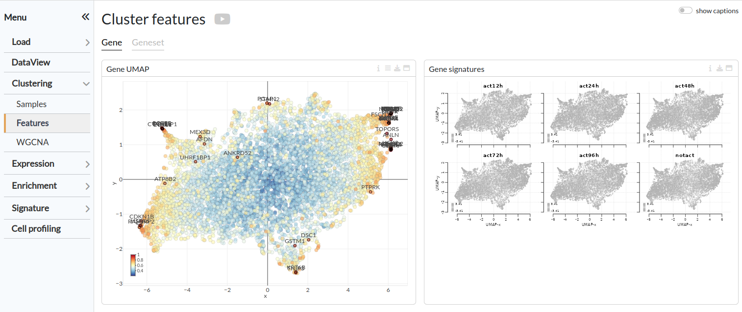 cluster features UMAP broken coloring · Issue #403 · bigomics ...
