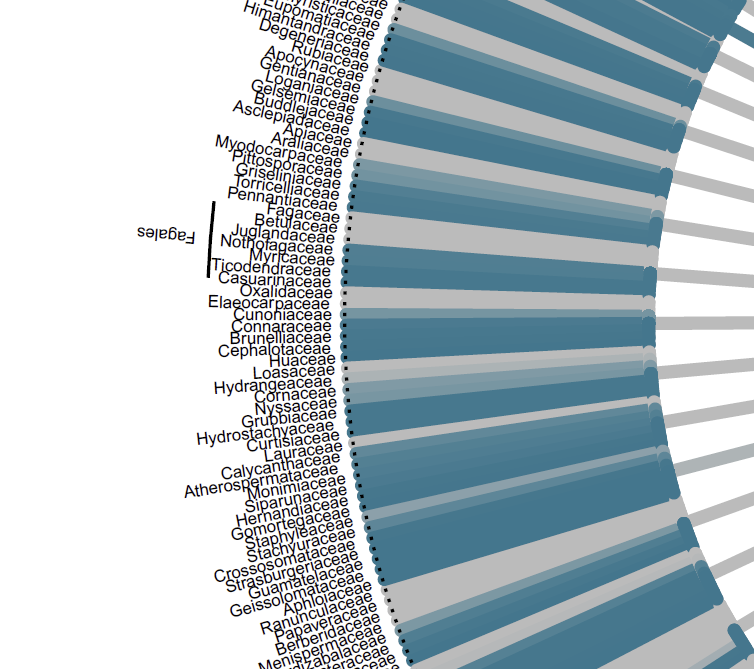 tiplab position flipping · Issue #380 · YuLab-SMU/ggtree · GitHub