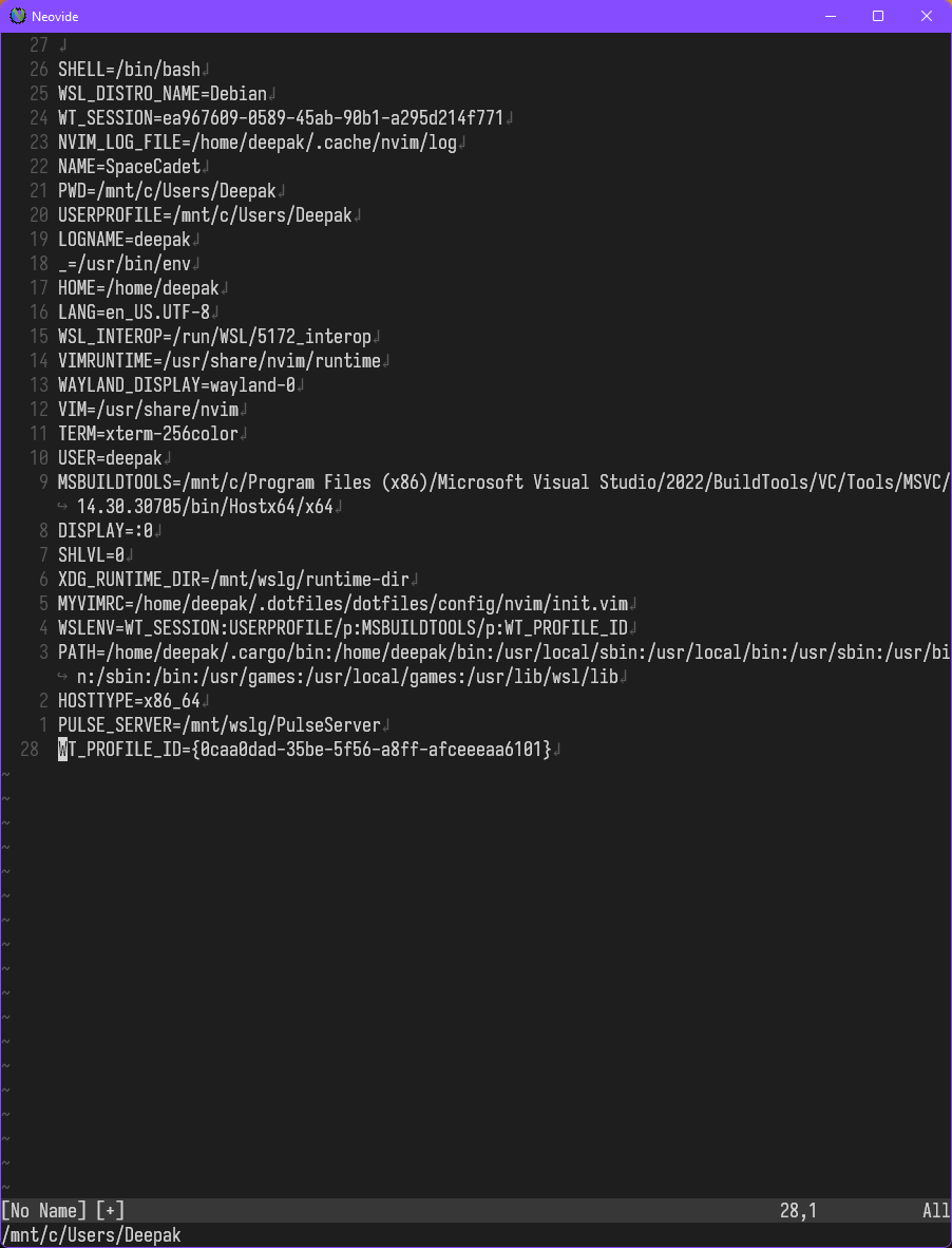neovide --wsl: nvim not found · Issue #1296 · neovide/neovide · GitHub