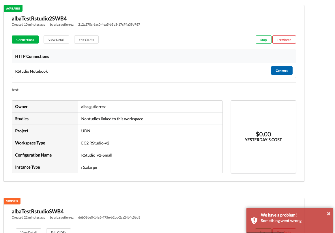 [Bug] Workspaces with Rstudio not loading · Issue #758 · awslabs/service-workbench-on-aws · GitHub
