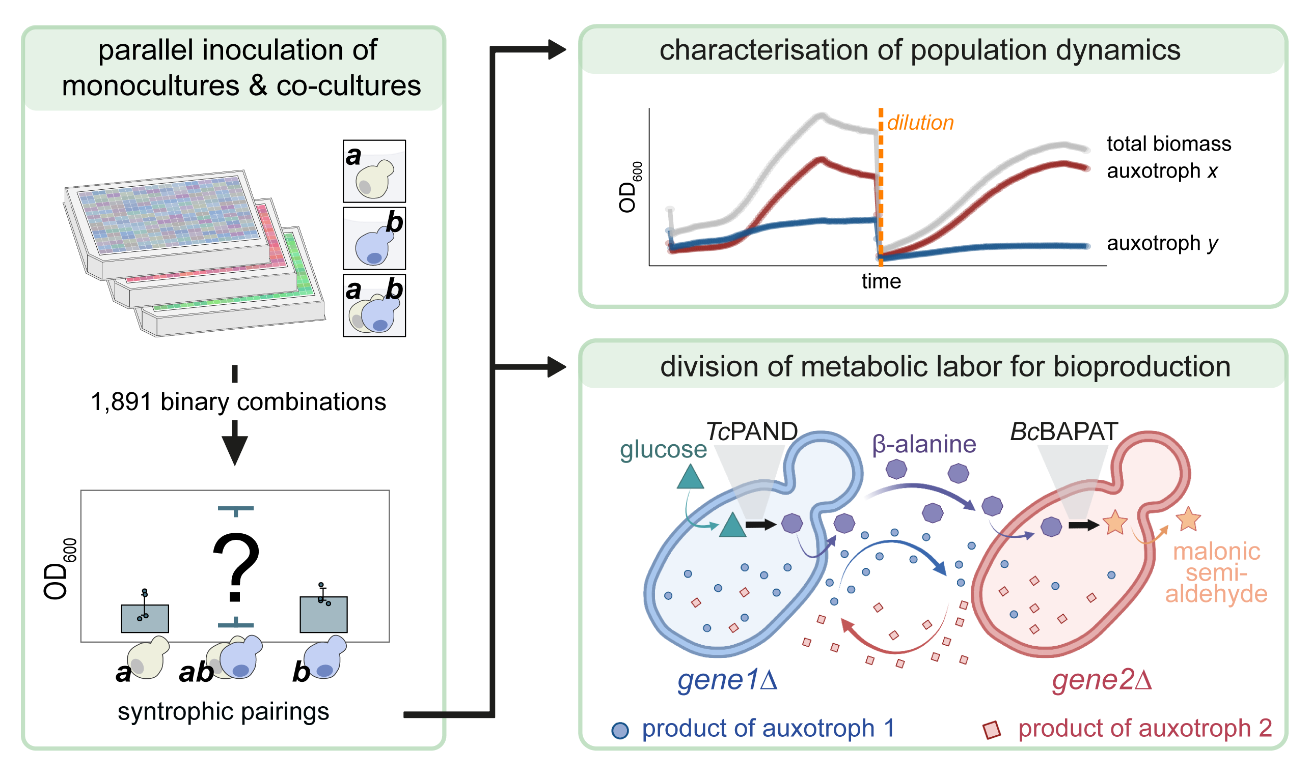 GitHub - Ralser-lab/auxcocul: data and code from our publication ...