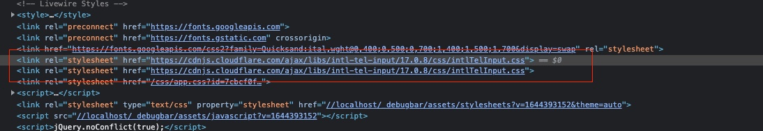 duplicate scripts or styles · Issue #1937 · filamentphp/filament · GitHub