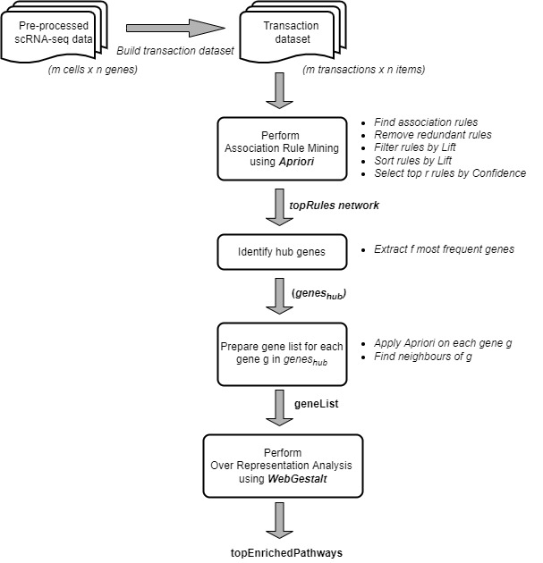 GitHub - deeplearner87/scARMF: Association Rule Mining-based feature selection Framework for ...