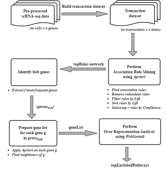 GitHub - deeplearner87/scARMF: Association Rule Mining-based feature selection Framework for ...