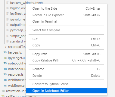 (Feature Request) View Raw JSON - Notebook Editor · Issue #2091 · microsoft/vscode-jupyter · GitHub