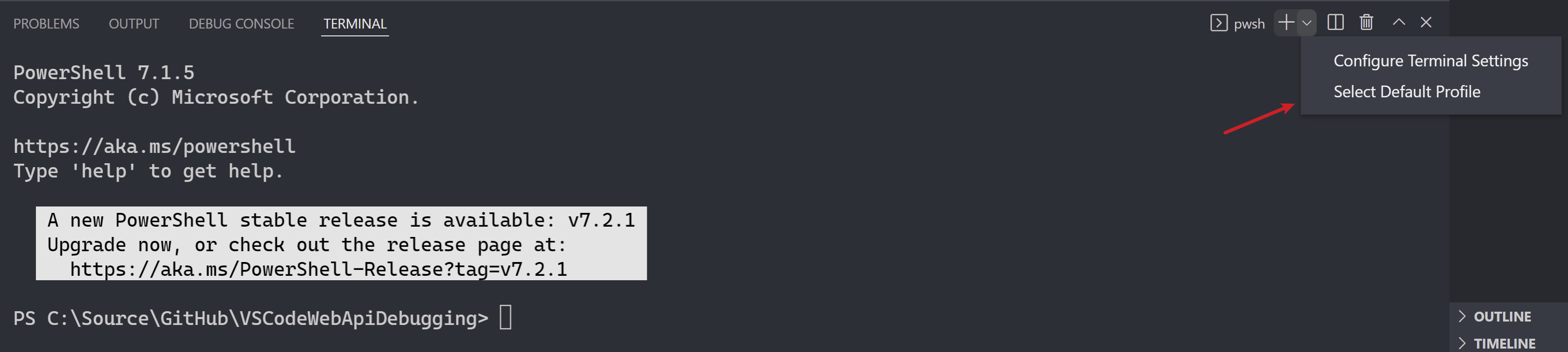 The list of available terminals doesn't show up and the default profile ...